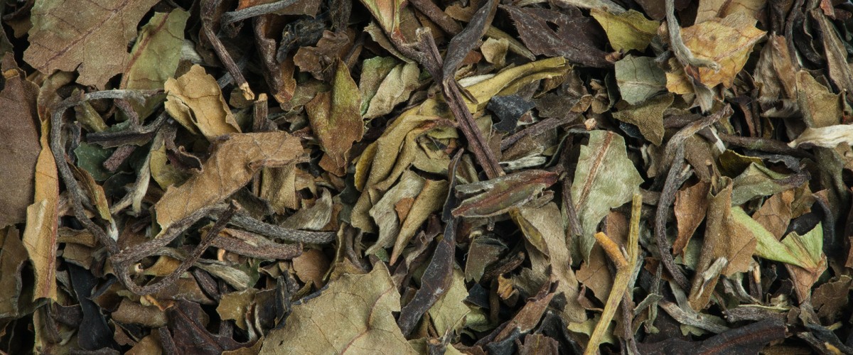 Pai Mu Tan (or Bai Mu Dan): An Organic White Tea from China