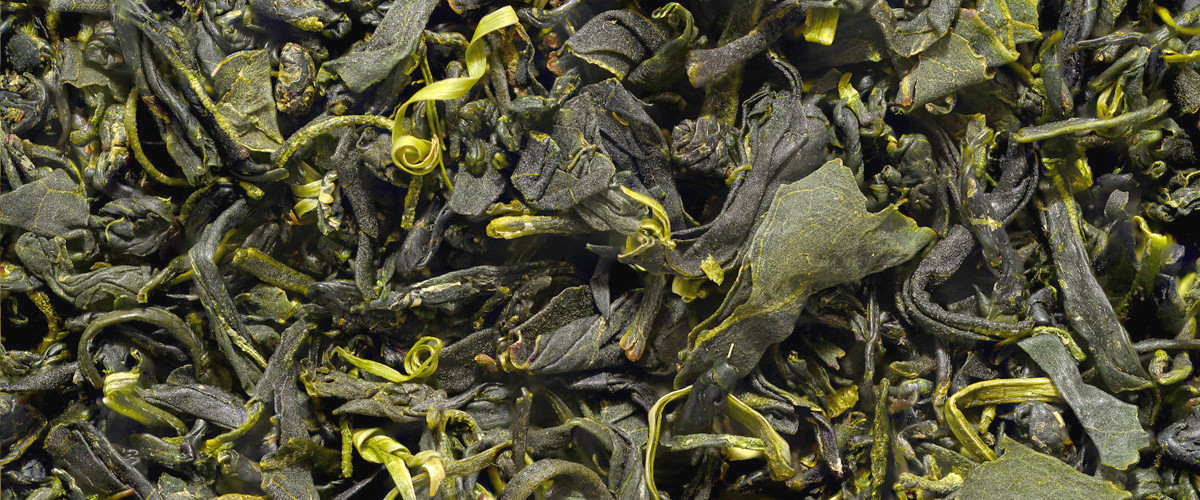 Jeju Sejak green tea