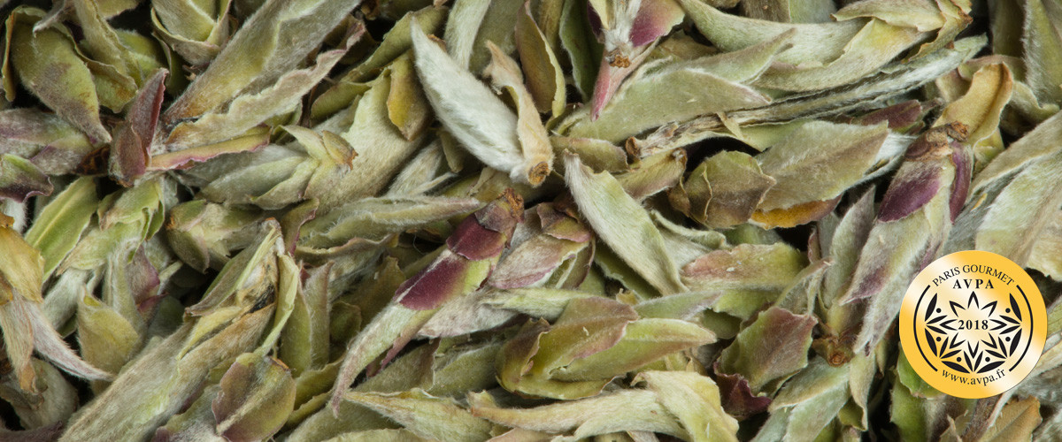Thé blanc sauvage de Chine : Bourgeons "Nan Mei" | L'Autre Thé